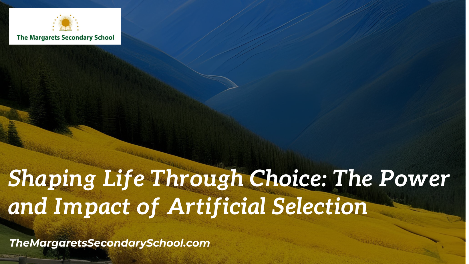 Shaping Life Through Choice: The Power and Impact of Artificial ...