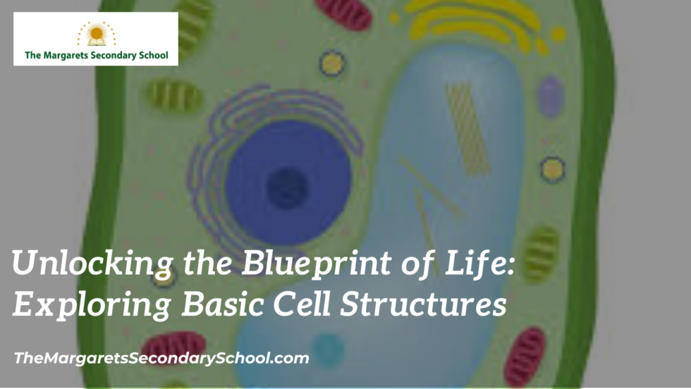 Unlocking the Blueprint of Life: Exploring Basic Cell Structures | The ...