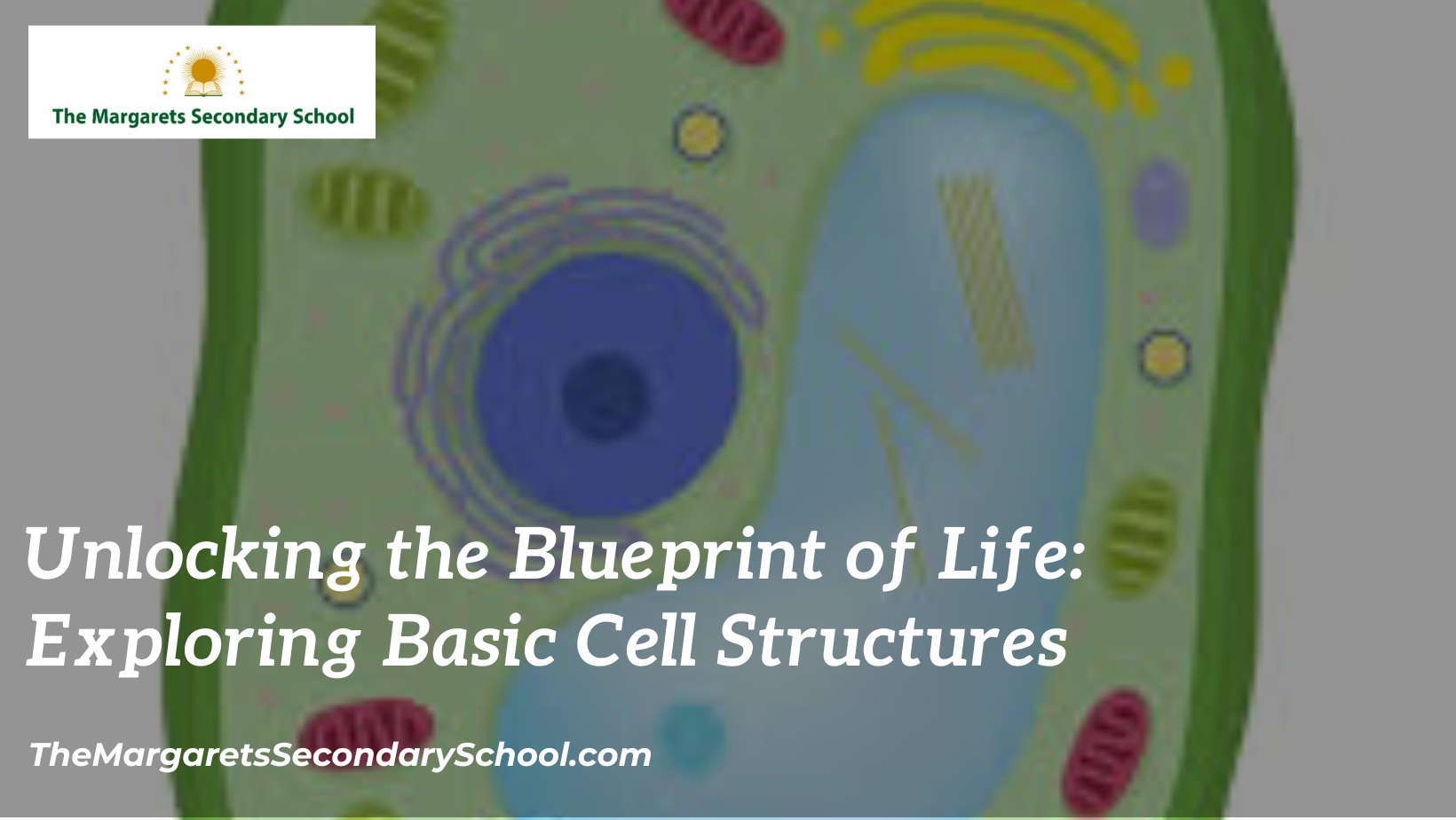 Unlocking the Blueprint of Life: Exploring Basic Cell Structures | The ...
