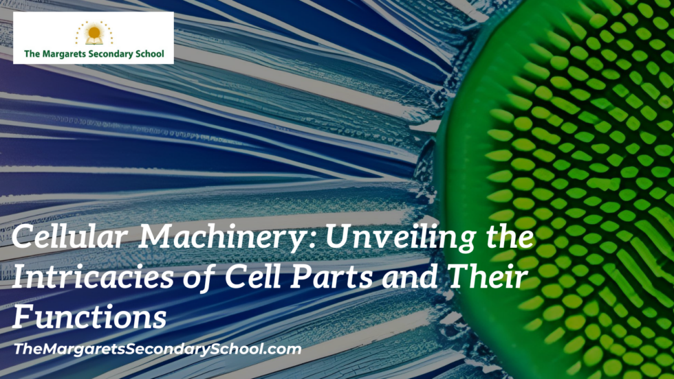 Cellular Machinery: Unveiling the Intricacies of Cell Parts and Their ...
