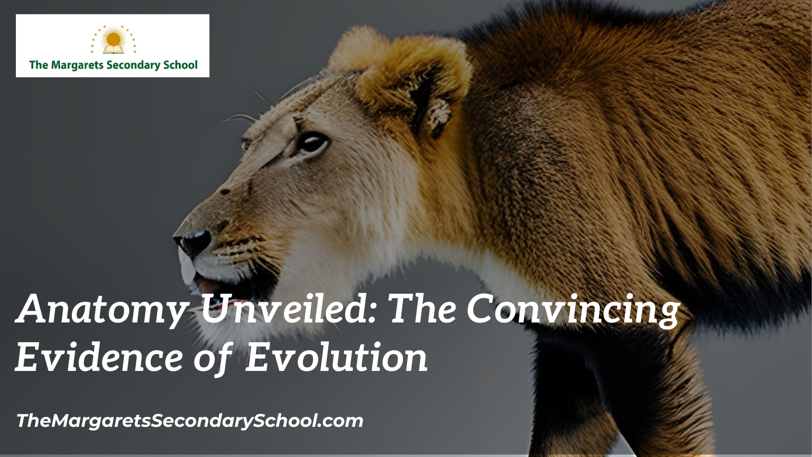Anatomy Unveiled: The Convincing Evidence of Evolution | The Margaret's ...