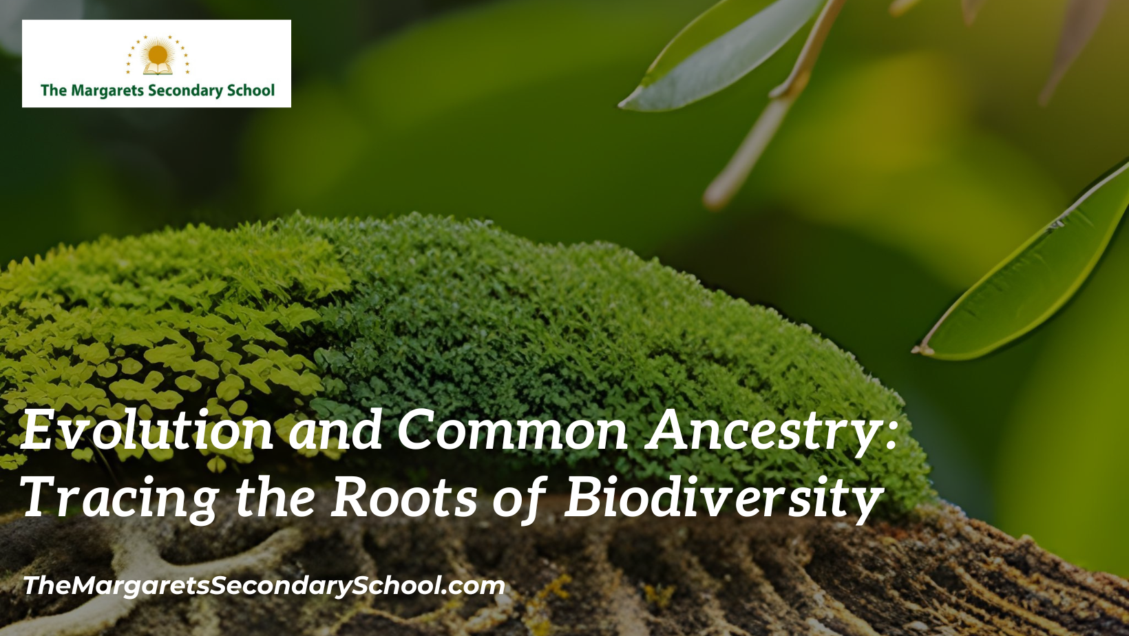 Evolution and Common Ancestry: Tracing the Roots of Biodiversity | The ...