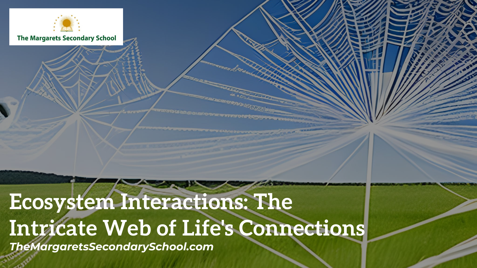 Ecosystem Interactions: The Intricate Web of Life's Connections | The ...