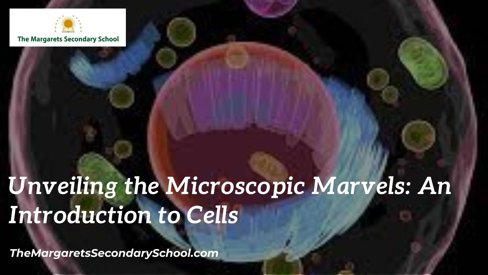 Unveiling the Microscopic Marvels: An Introduction to Cells | The ...