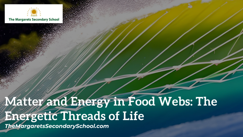 Matter and Energy in Food Webs: The Energetic Threads of Life | The ...