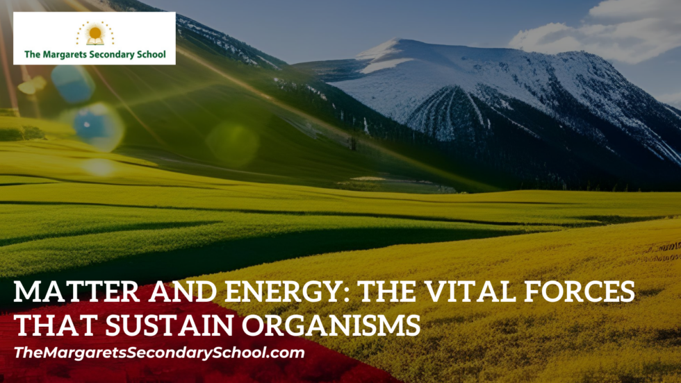 Matter and Energy: The Vital Forces that Sustain Organisms | The ...