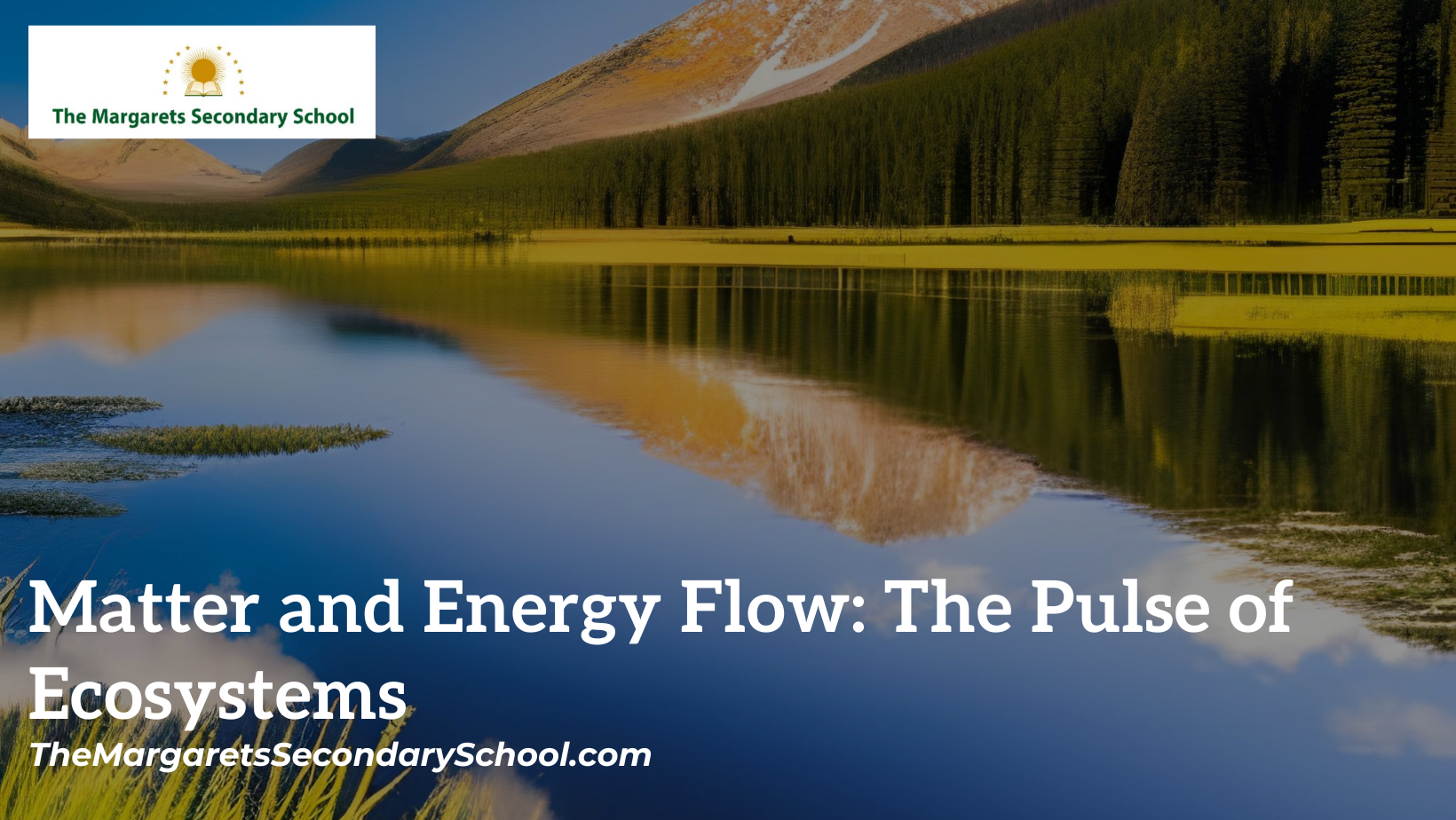 Matter and Energy Flow: The Pulse of Ecosystems | The Margaret's ...