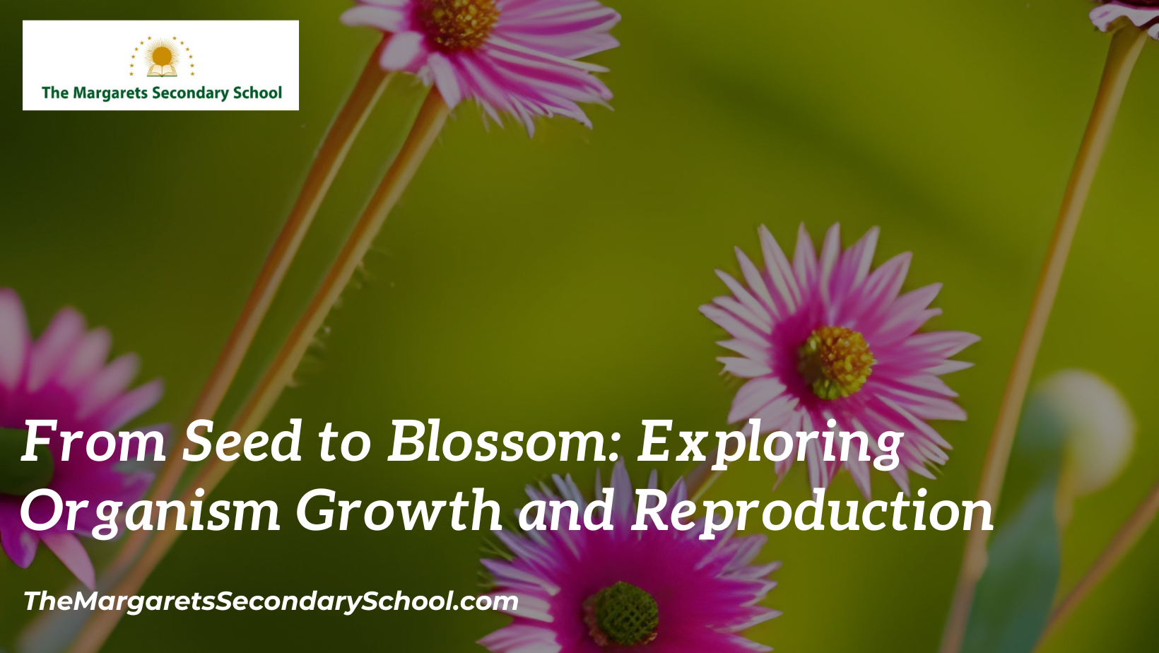 From Seed to Blossom: Exploring Organism Growth and Reproduction | The ...