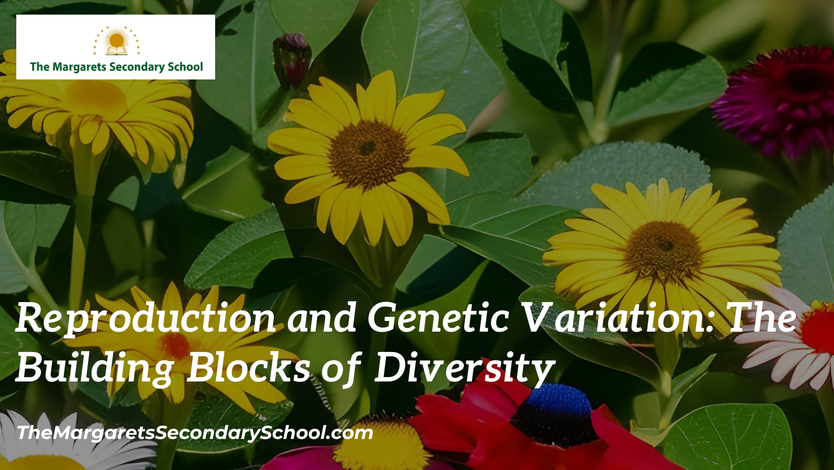 Reproduction and Genetic Variation: The Building Blocks of Diversity ...