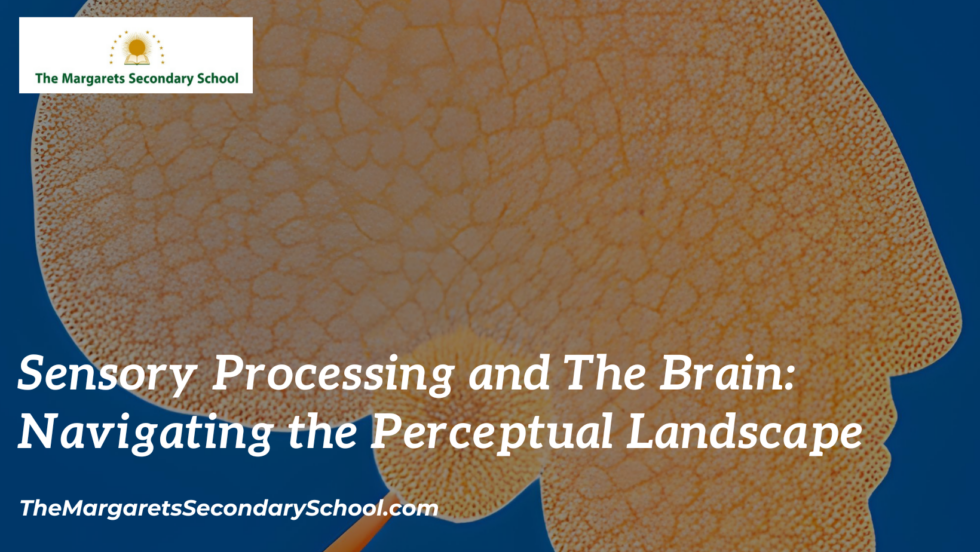Sensory Processing and The Brain: Navigating the Perceptual Landscape ...