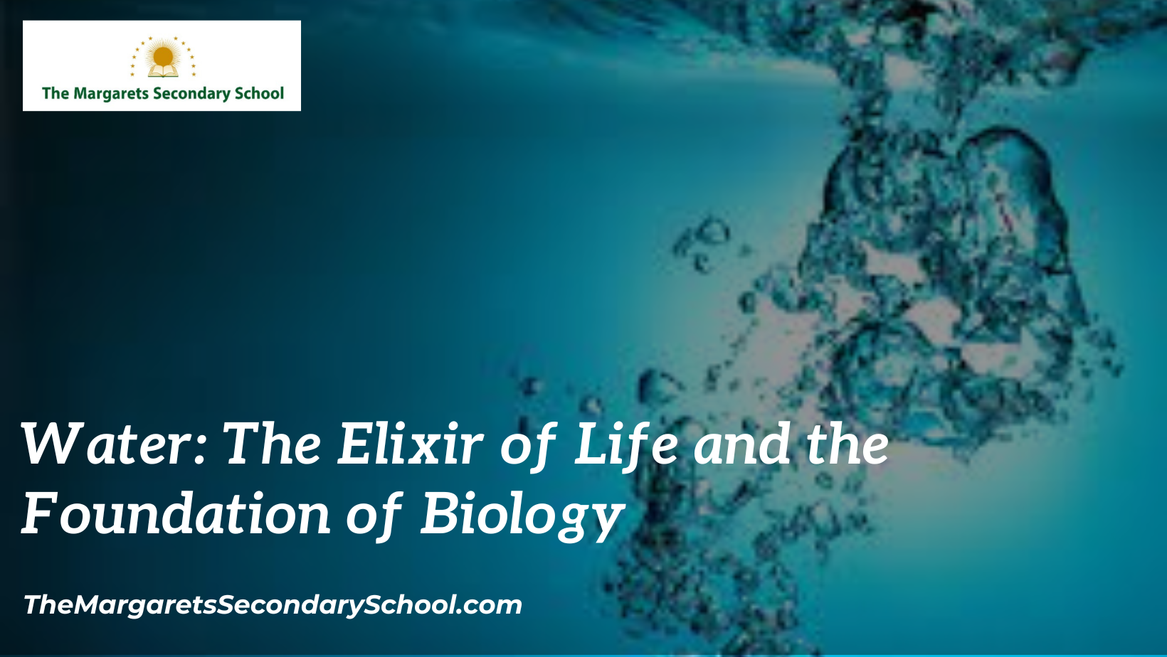 Water: The Elixir of Life and the Foundation of Biology | The Margaret ...