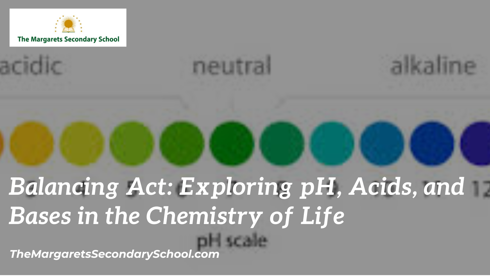 Balancing Act: Exploring pH, Acids, and Bases in the Chemistry of Life ...